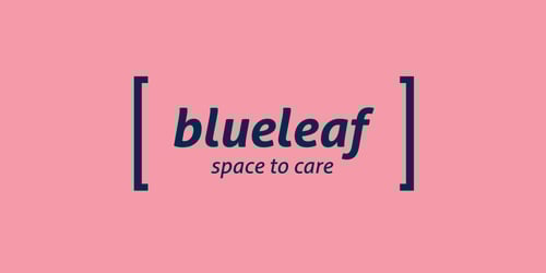 Blueleaf: Support with merger integration and rebrand